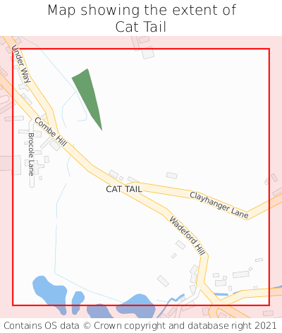 Where is Cat Tail? Cat Tail on a map