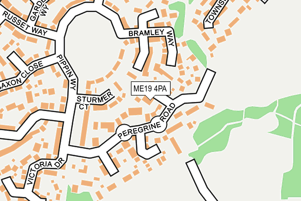 ME19 4PA maps, stats, and open data