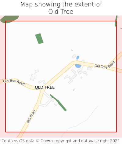 Where is Old Tree? Old Tree on a map
